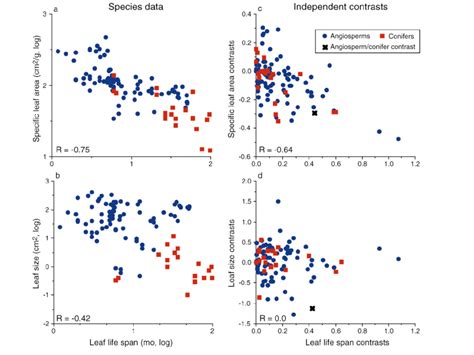 Analysis Of Correlations Among Leaf Traits Using Independent Contrasts
