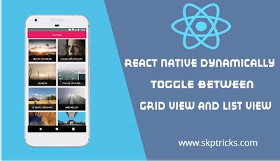 React Native Dynamically Toggle Between Grid View And List View SKPTRICKS