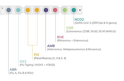 Respiratory Panel Vi Certest Biotec Raw Materials Diagnostics