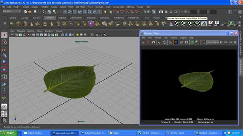 3d Tutorials Using Alpha In Maya
