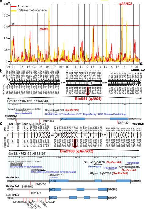 Identification Of Al Tolerance Quantitative Trait Locus Qtls Using A