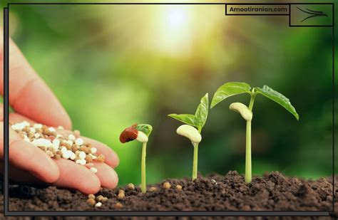 Fertilizer Definition Geography At Raymond Soliz Blog