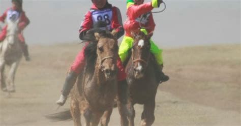 Хурдан морины уралдаан зохион байгуулах тухай ЗГ ын тогтоолыг түдгэлзүүлэх эсэхийг шүүхээр