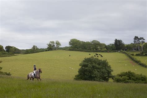 Sidcot School Tes Jobs