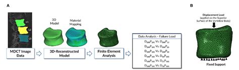 Figure 1 From Finite Element Analysis Based Vertebral Bone Strength Prediction Using Mdct Data