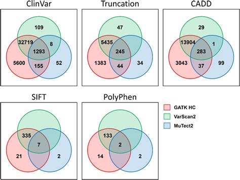 Of Significant Variants Differently Called By Variant Callers A Download Scientific Diagram