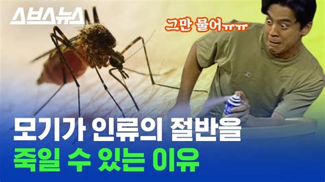 모기 때문에 520억 명의 인간이 죽었다 공포의 모기소리 스브스뉴스 Youtube