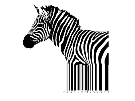 Zebra Code By Mahdi Joban On Dribbble