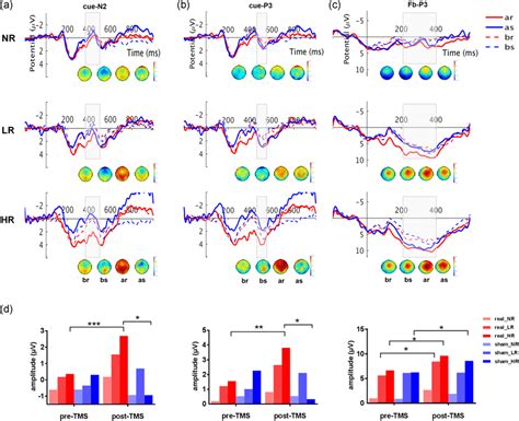 rtms altered event‐related potentials erps indicative of reward