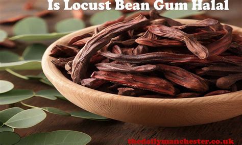 Is Locust Bean Gum Halal A Closer Look For Shoppers