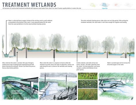 Image Result For Water Filtration Stages Wetland Landscape