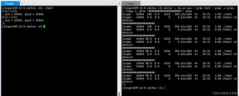 Linux之创建进程、查看进程、进程的状态以及进程的优先级 腾讯云开发者社区 腾讯云