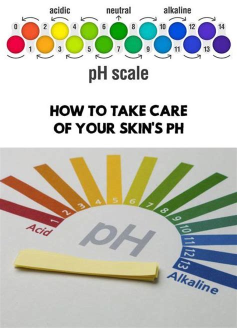 Ph meter vector art png ph scale value meter with acid hydronium fluid with png image for free ...