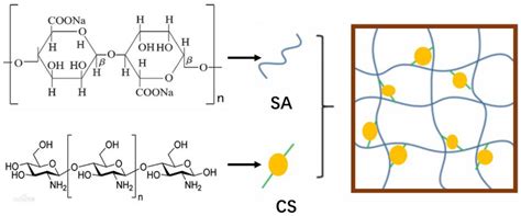Materials Free Full Text Synthesis And Properties Of Biodegradable Hydrogel Based On