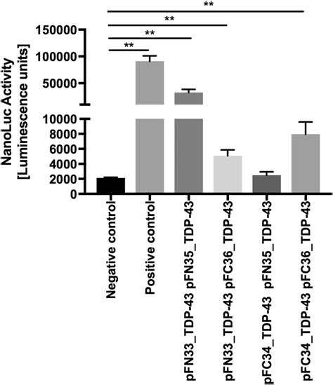 Tdp 43 Self Interaction Nanobit ® Luciferase Complementation Assay For Download Scientific