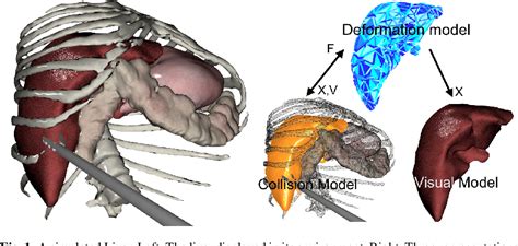 figure 1 from sofa a multi model framework for interactive physical