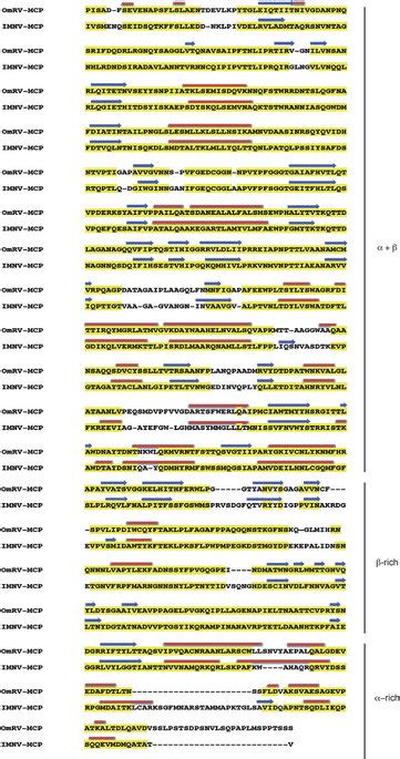 Sequence Based Secondary Structure Prediction Sequence Predicted Download Scientific Diagram