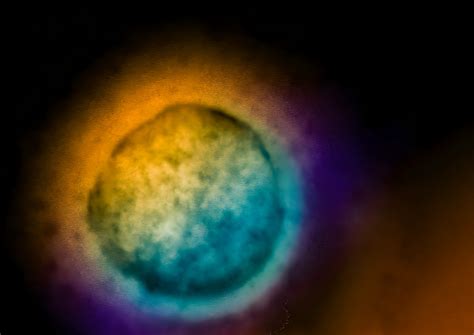 Sterblichkeit über 40 Prozent Pandemie Potential So Gefährlich Ist