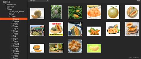 mmpretrain实战 基于水果and猫狗数据集使用mim工具训练测试分析结果与含中文字符的可视化 知乎