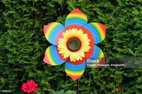 무지개 색 풍차 또는 아래 녹색 무성한 복엽수 식물과 붉은 꽃의 배경에 그것의 중간에 인공 플라스틱 노란색과 검은 색 해바라기와 꽃 모양의 팬 0명에 대한 스톡 사진 및