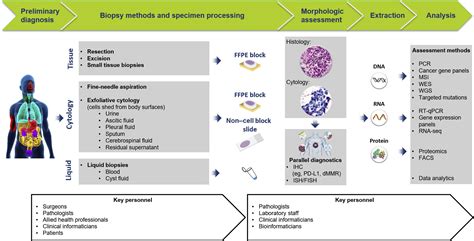 Preanalytic Variables And Tissue Stewardship For Reliable Next