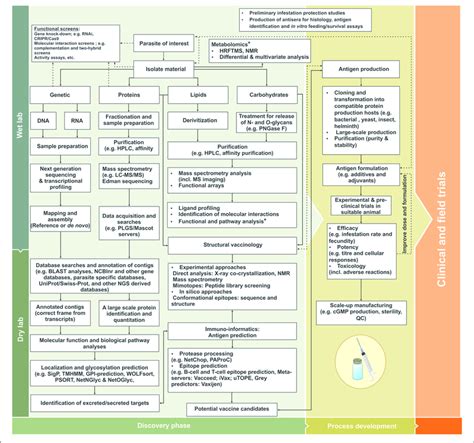 Diagrammatic Workflow For Identification And Evaluation Of Next Download Scientific Diagram