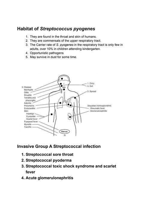 Solution Habitat Of Streptococcus Pyogenes Studypool