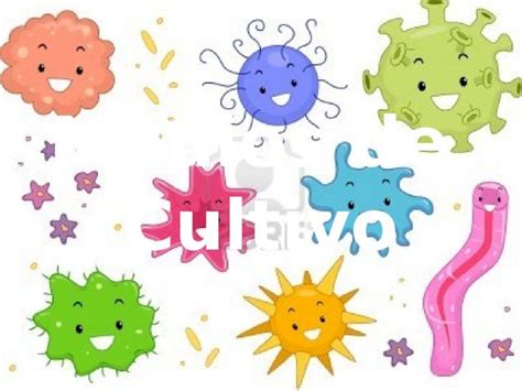 Pptx Mediso De Cultivo And Crecimiento Bacteriano Dokumentips