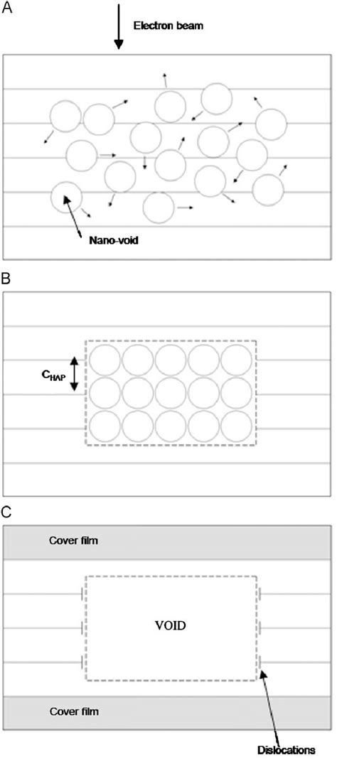 Schematic Drawings Of A Proposed Interaction Process Between The Hap