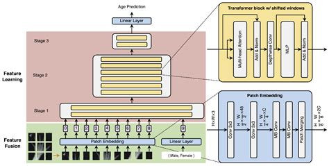 Bae Vit An Efficient Multimodal Vision Transformer For Bone Age Estimation