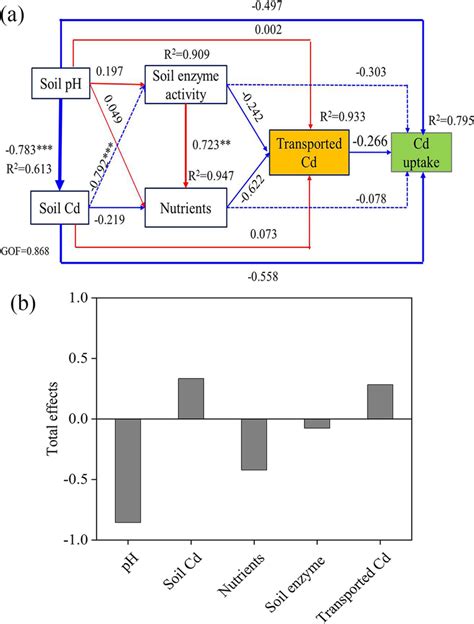 Partial Least Squares Path Modeling Pls Pm Results Illuminating Major