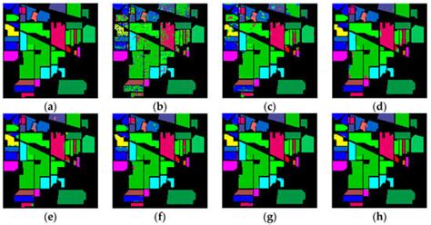 Remote Sensing Free Full Text Dual Branch Attention Assisted Cnn