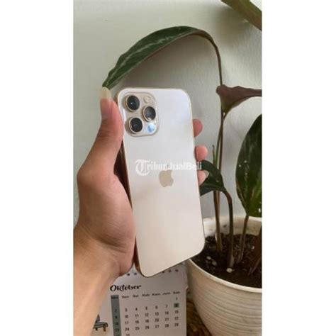HP IPhone Pro Max GB Bekas Siap Pakai Bergaransi Fullset Di Semarang Tribun JualBeli