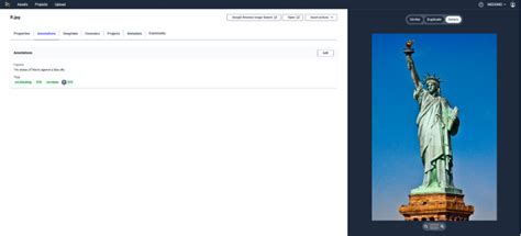 Manual Annotation Meddmo
