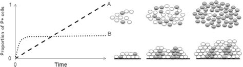 Theoretical Representation Of A Self Transmissible Plasmid That
