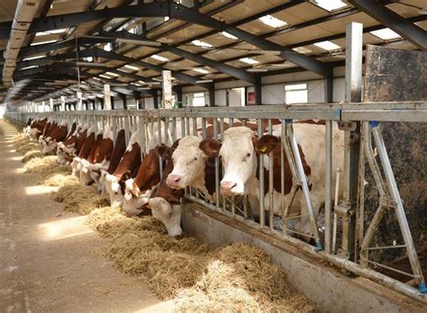 Ерөнхий сайд бондын зээлээр санхүүжсэн фермийн үйл ажиллагаатай танилцлаа