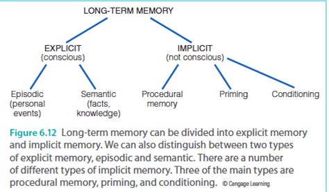 Long Term Memory Structure Flashcards Quizlet