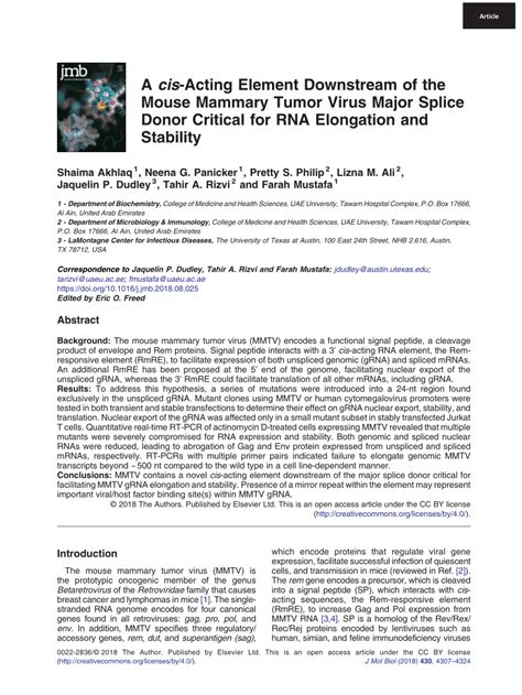 Pdf A Cis Acting Element Downstream Of The Mouse Mammary Tumor Virus Major Splice Donor