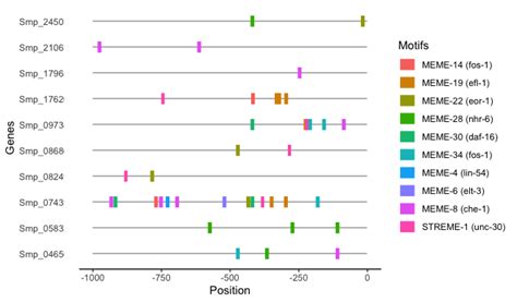 Visualising Gene Features Using Ggplot
