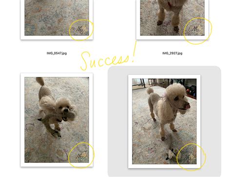 Why Every Graphic Designer Should Use Photoshop Actions And Batch