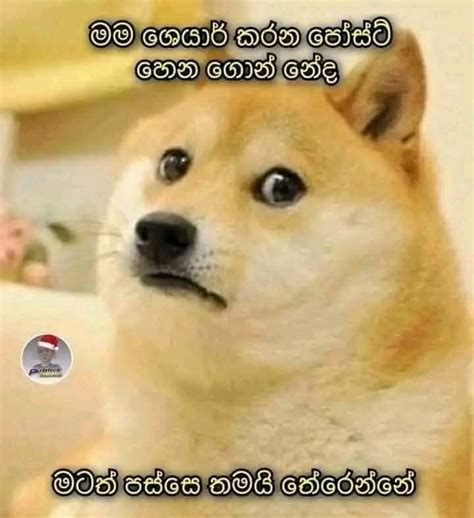 සඳට හිරු සේ ආදරෙයි මං 😁😁