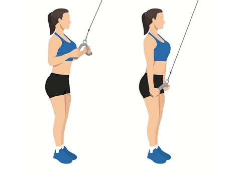 10 Best Triceps Exercises For Arm Fat