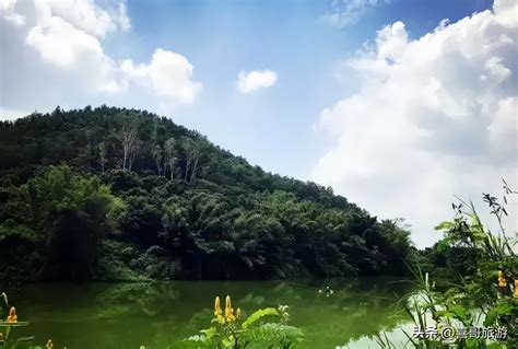 广东江门鹤山市值得游玩的旅游景点有哪些江门鹤山好玩的景点推荐 新北旅游网