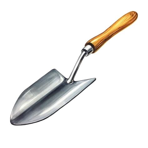 모종삽 기초디자인 개체묘사개체표현색채정밀 시범작 그림 디자인 질감 정물