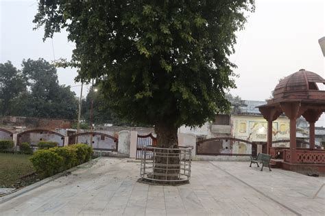 Ayodhya Ram Mandir Vs Babri Masjid Sikh Nihang Singh Faqir Khalsa History Explained 166 साल