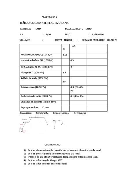 Practica 9 Pdf