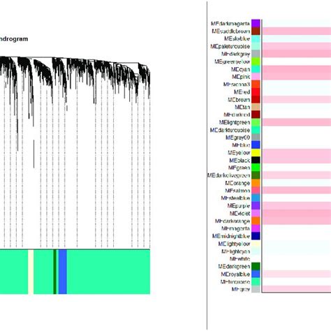 Gene Regulation Was Performed Through Clustering In Total 37 Gene