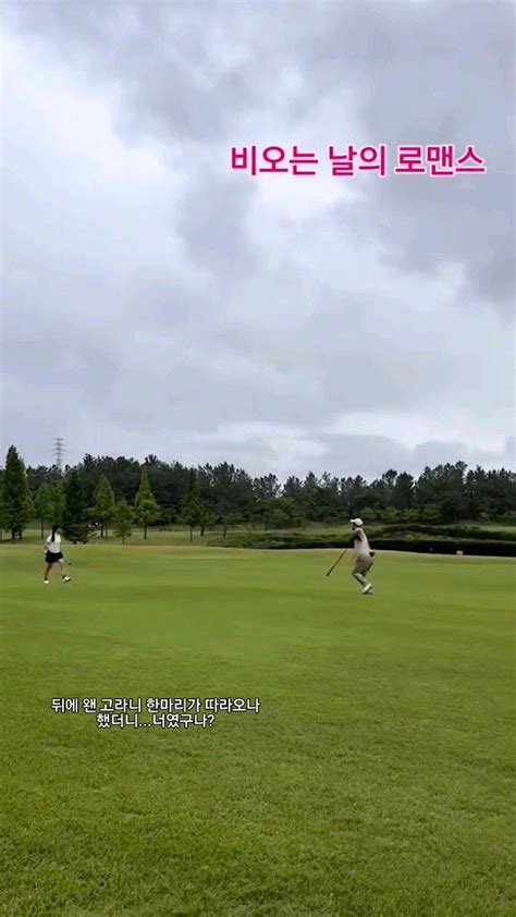 비오는 날 라운딩 멧돼지 고라니 한쌍이 되어 즐거운 시간 골프 명랑골프 선산cc Youtube