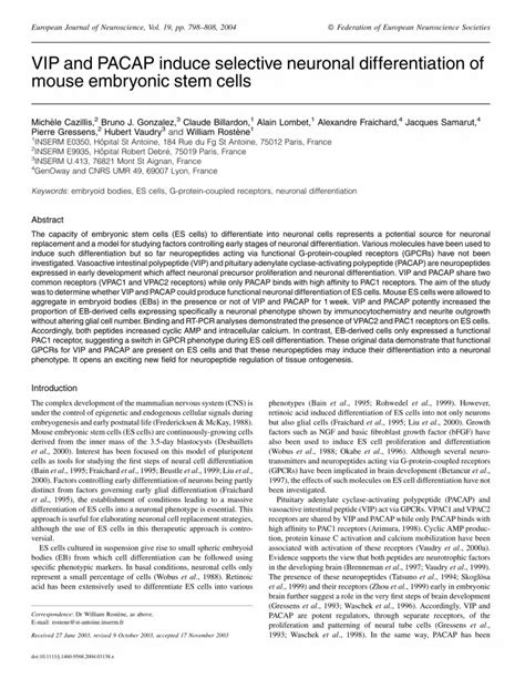 Pdf Vip And Pacap Induce Selective Neuronal Differentiation Of Mouse