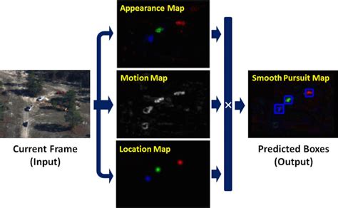 Bio Inspired Algorithm For Online Visual Tracking